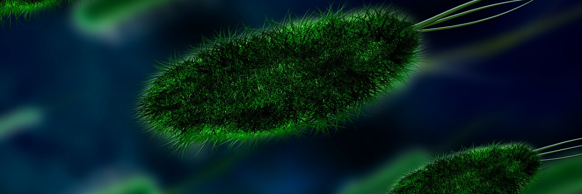 Sepsa - śmiertelne zagrożenie - Czytelnia apteki Cefarm24